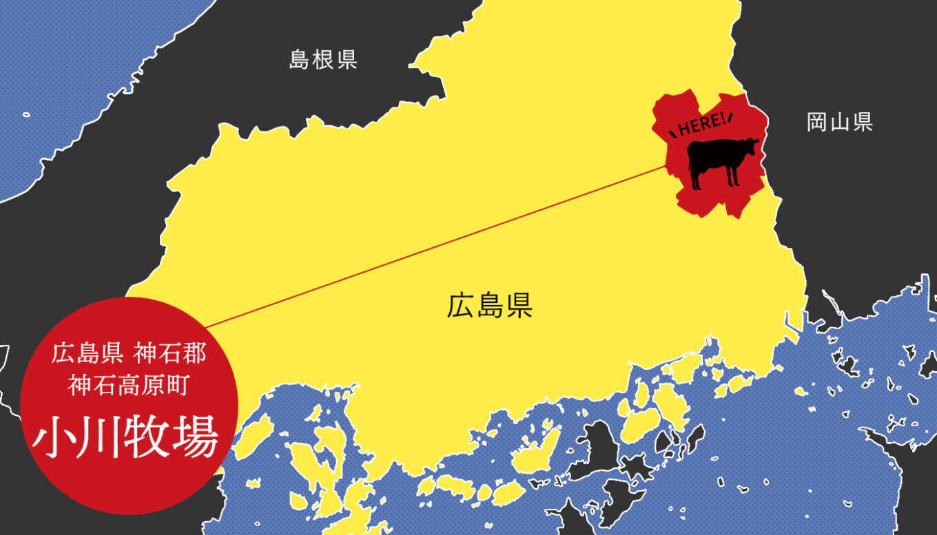 「ええ子ええ子」と愛情注ぎ 牛と歩んだ半世紀 広島県 神石牛 | 牛旅wasabee うしたびワサビィ | にっぽん全国牛旅中！