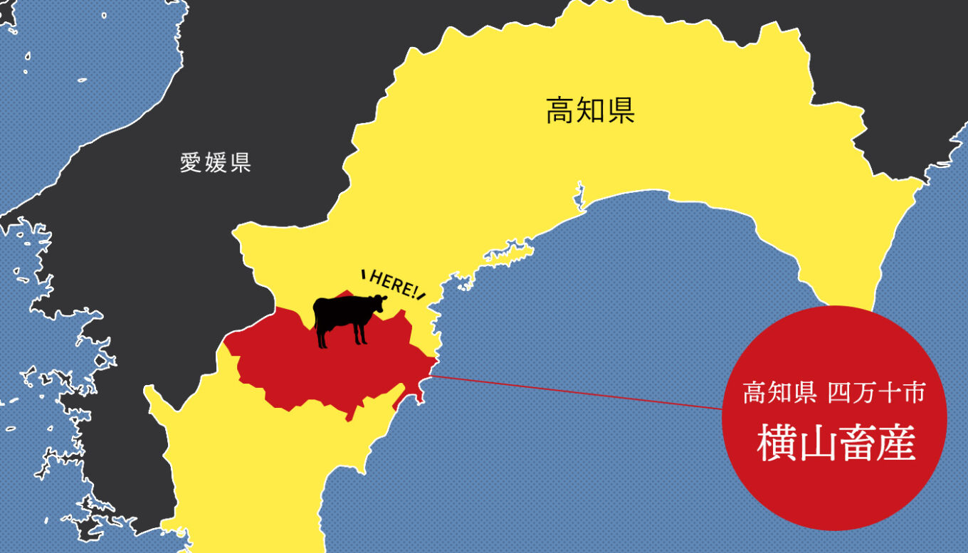 「魅力を見せてやらんと」 高校卒業後19歳で牧場主に！ 高知県 四万十牛 | 牛旅wasabee うしたびワサビィ | にっぽん全国牛旅中！