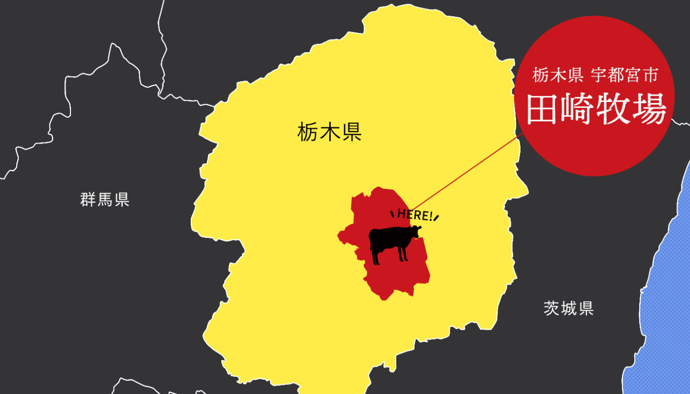『目指せ！50頭』27歳和牛繁殖農家が進む道 栃木県・田崎牧場（繁殖農家） | 牛旅wasabee うしたびワサビィ | にっぽん全国牛旅中！