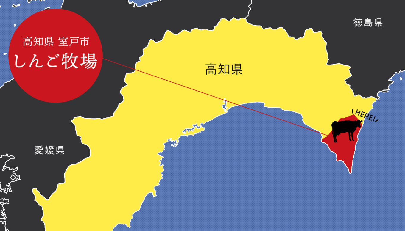 信吾さんの生き様がここに！放牧で育てる「しんご牧場」 高知県 土佐あかうし | 牛旅wasabee うしたびワサビィ | にっぽん全国牛旅中！